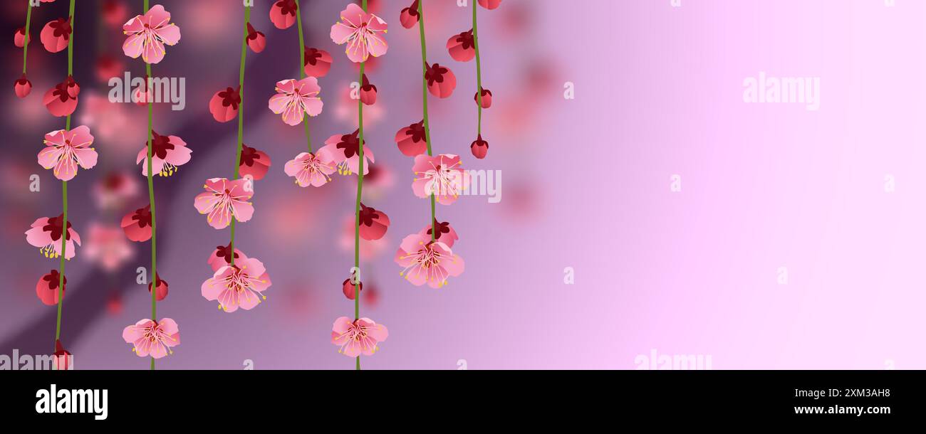 Hanging branches of Sakura on a purple background. Designer cherry ...