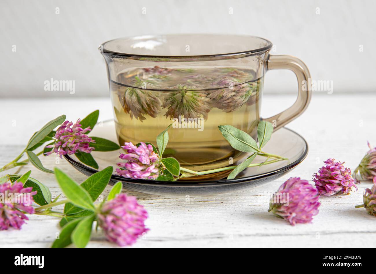 Trifolium pratense, red clover herbal tea in tea cup on white wood ...
