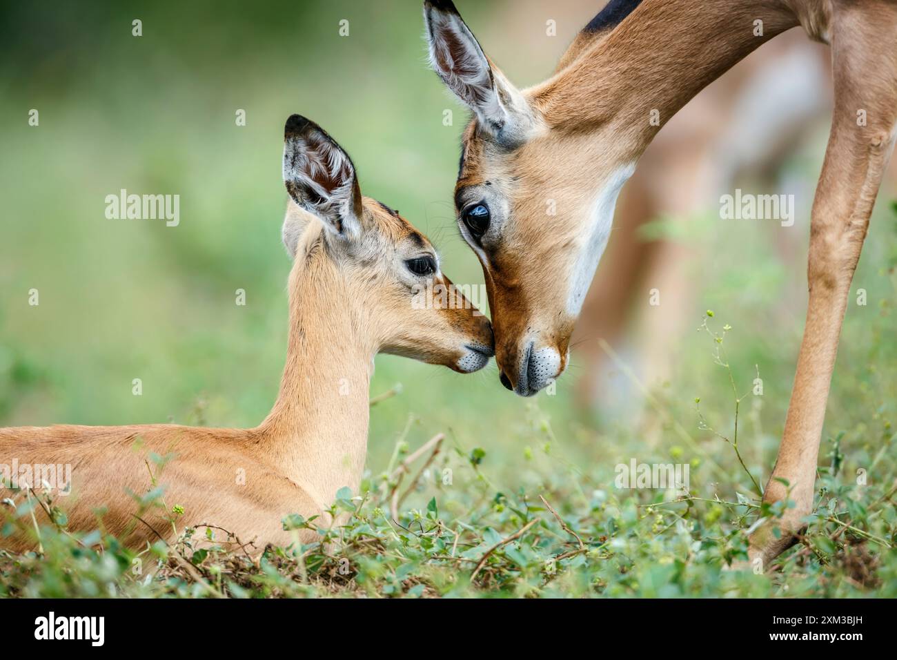 Female bonding hi-res stock photography and images - Alamy