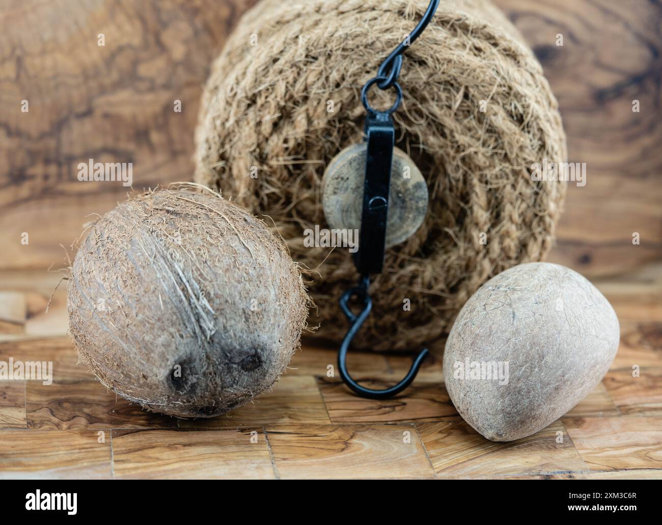 Copra dried pulp and ropes made from fibers of the coconut Cocos ...