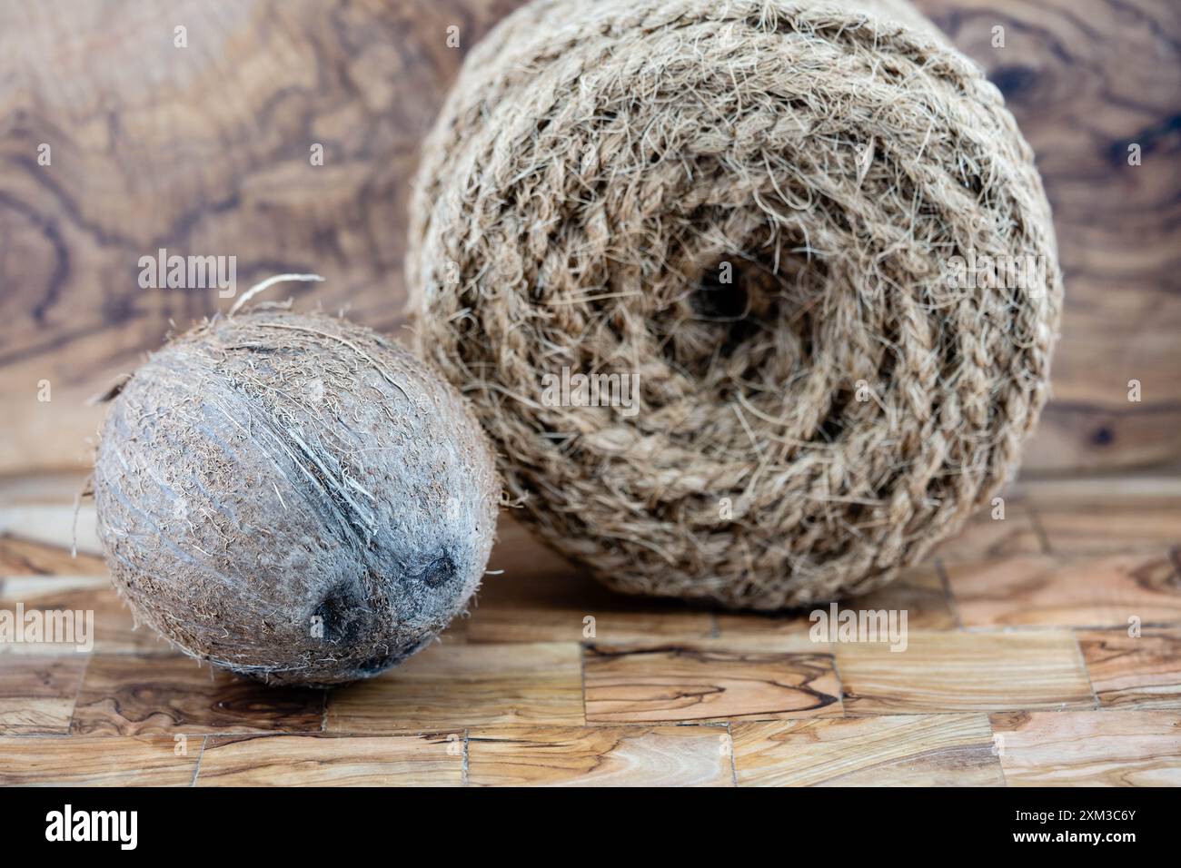 Copra dried pulp and ropes made from fibers of the coconut Cocos ...