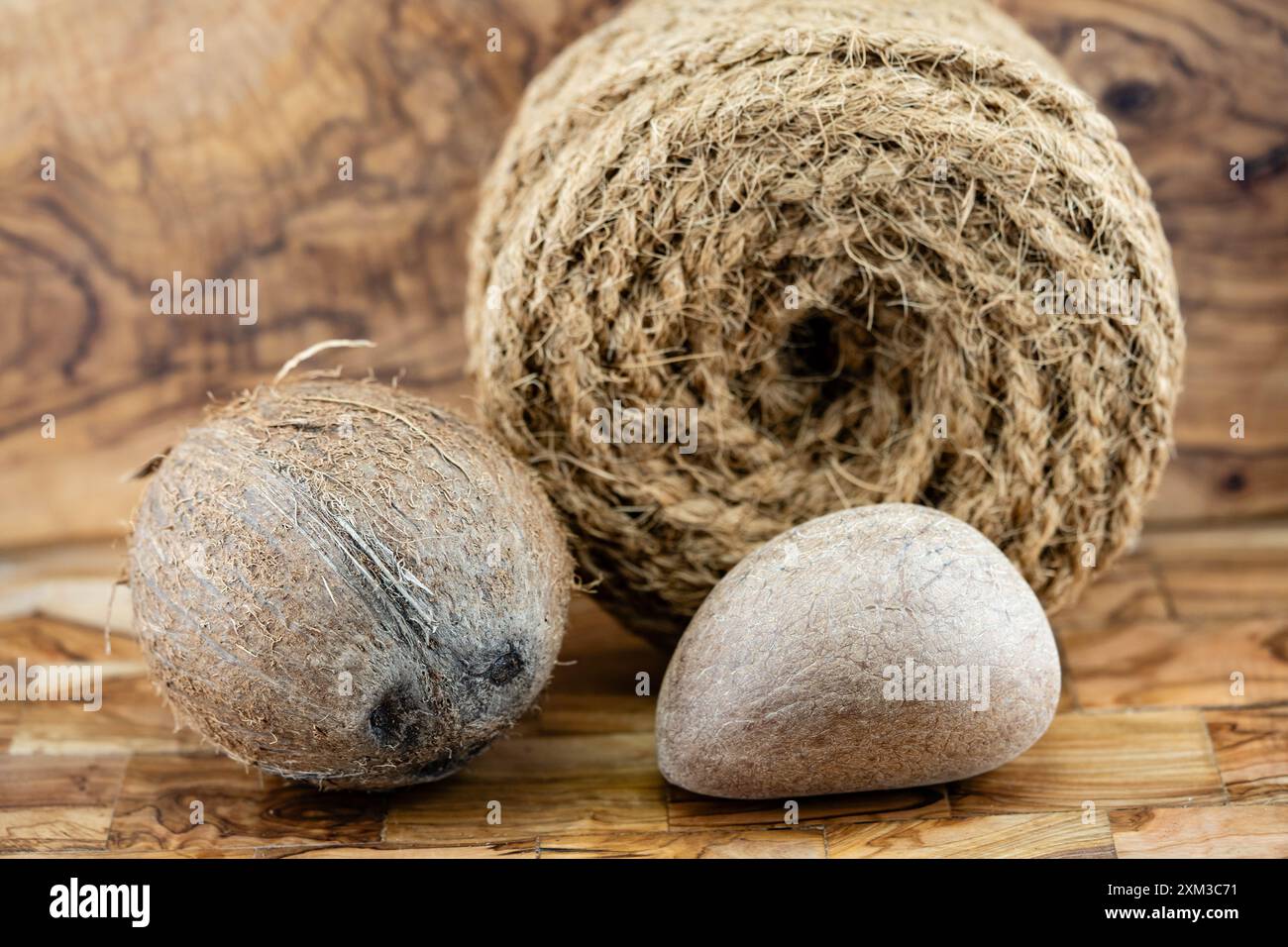 Copra dried pulp and ropes made from fibers of the coconut Cocos ...