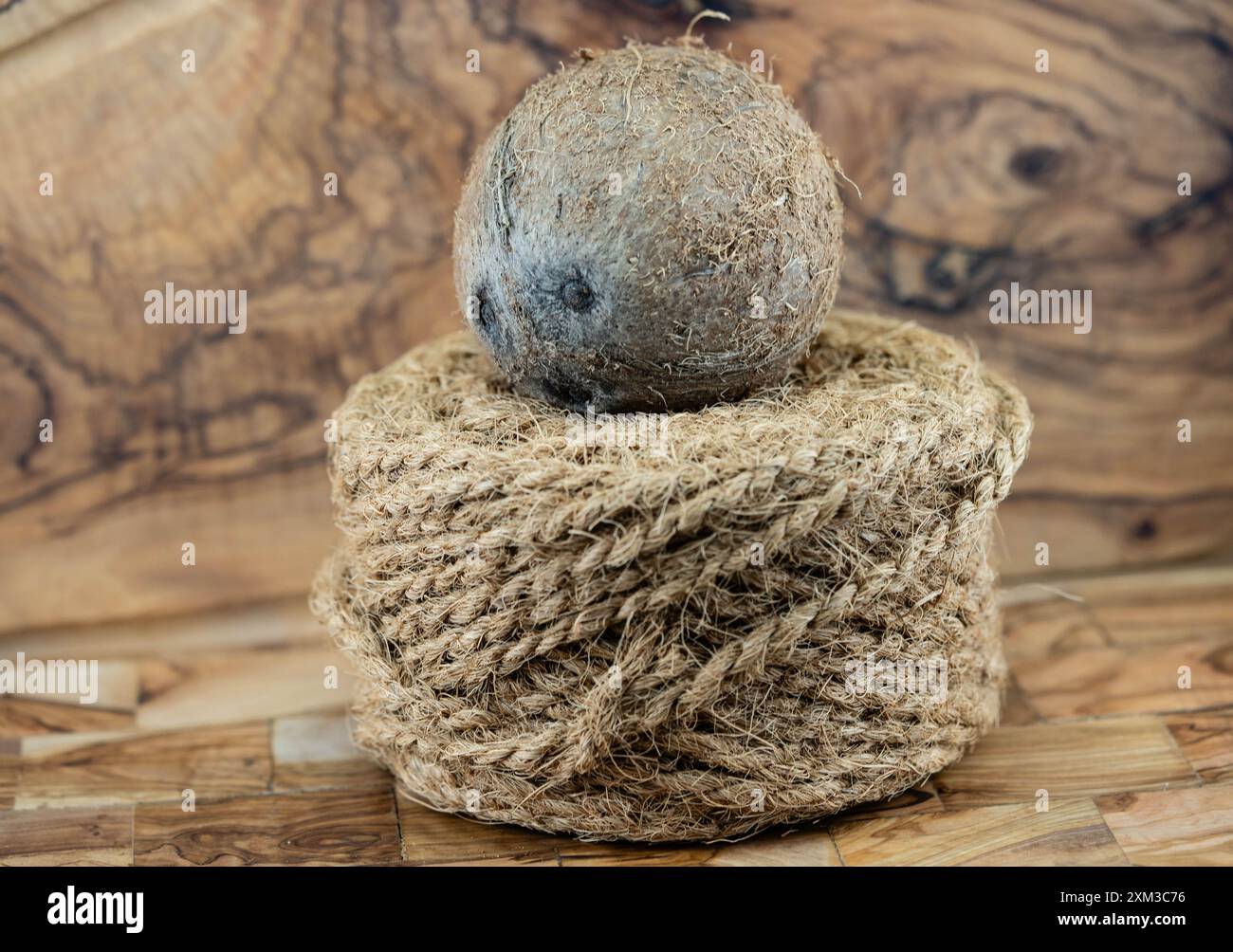 Copra dried pulp and ropes made from fibers of the coconut Cocos ...