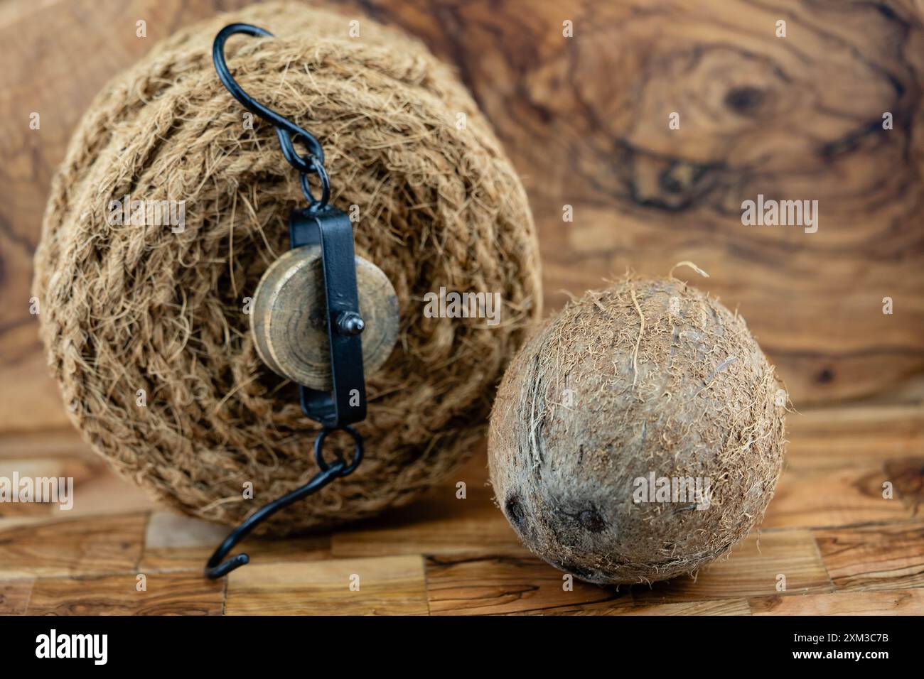 Copra dried pulp and ropes made from fibers of the coconut Cocos ...