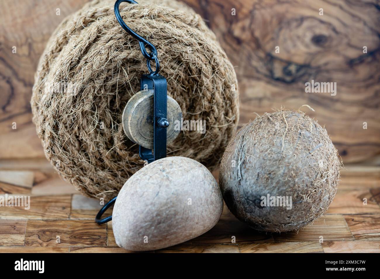 Copra dried pulp and ropes made from fibers of the coconut Cocos ...