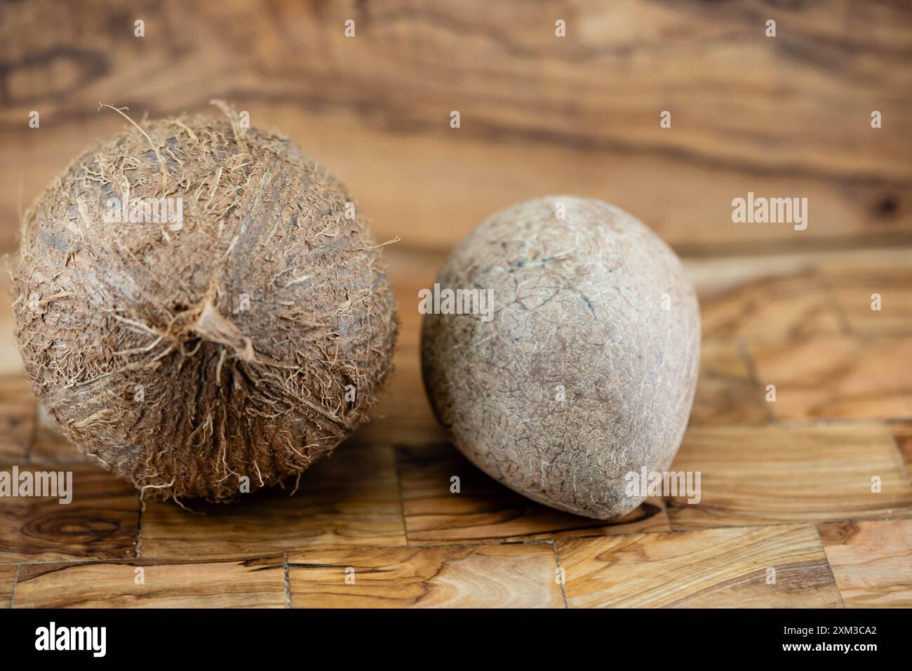 Copra dried pulp and ropes made from fibers of the coconut Cocos ...