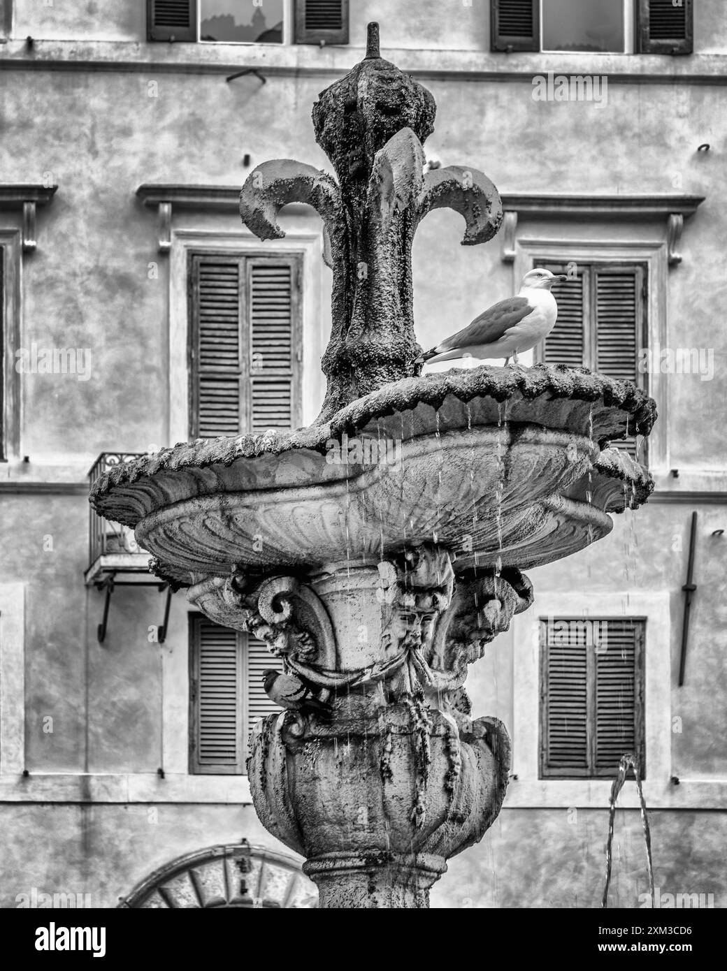Street view beautiful ancient Black and White Stock Photos & Images - Alamy