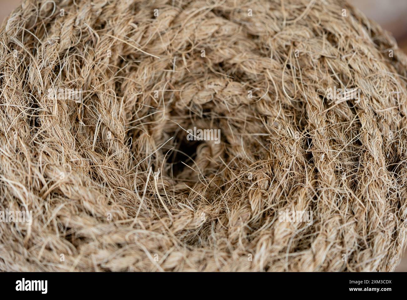 Copra dried pulp and ropes made from fibers of the coconut Cocos ...