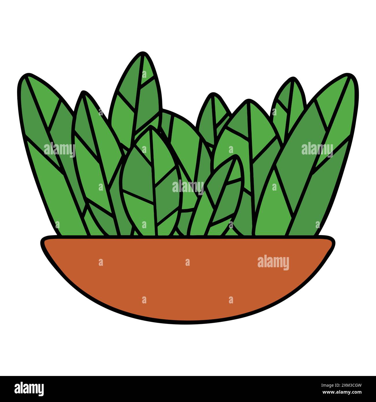 Low profile pot hi-res stock photography and images - Alamy