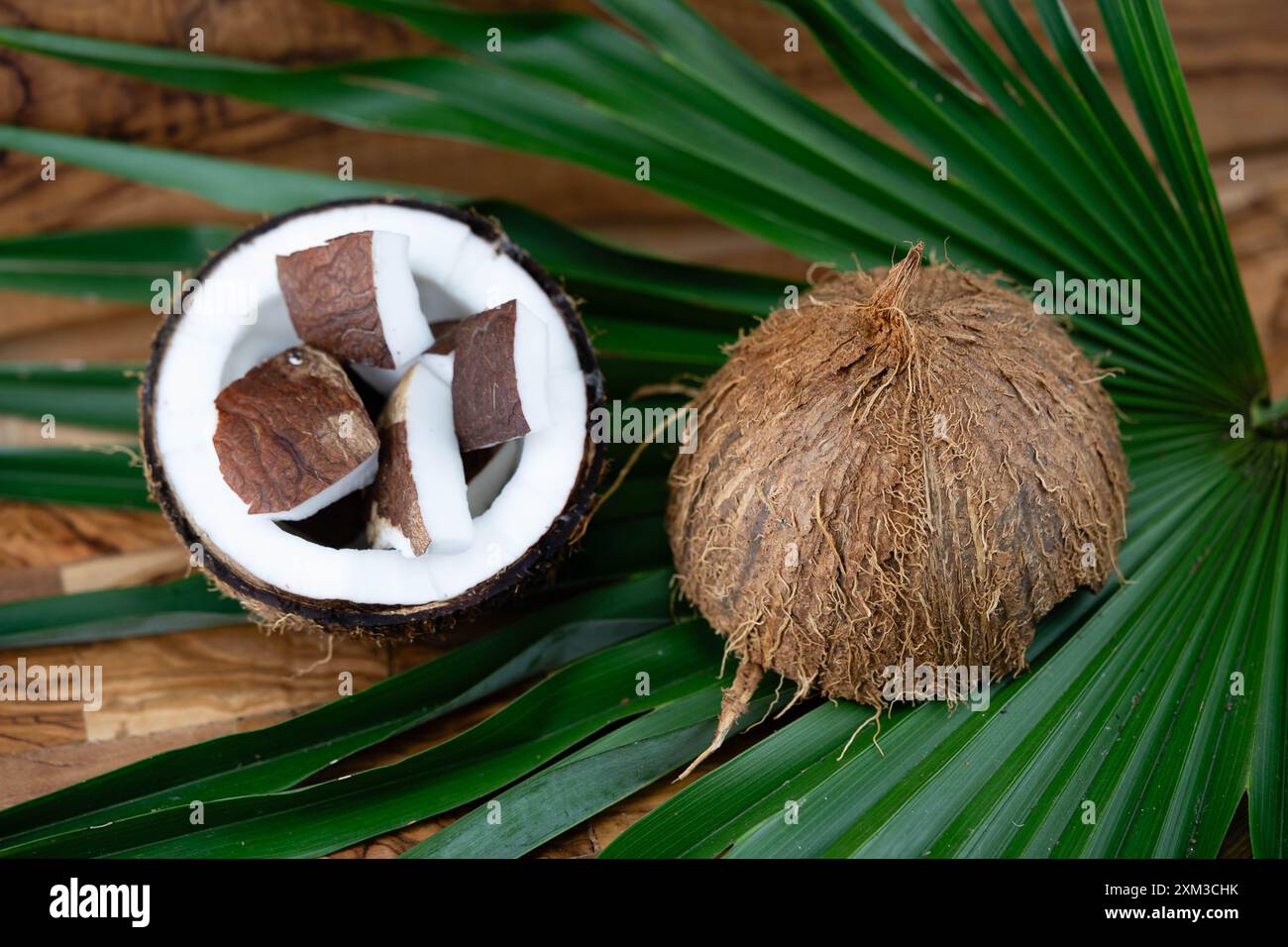Copra dried pulp and ropes made from fibers of the coconut Cocos ...