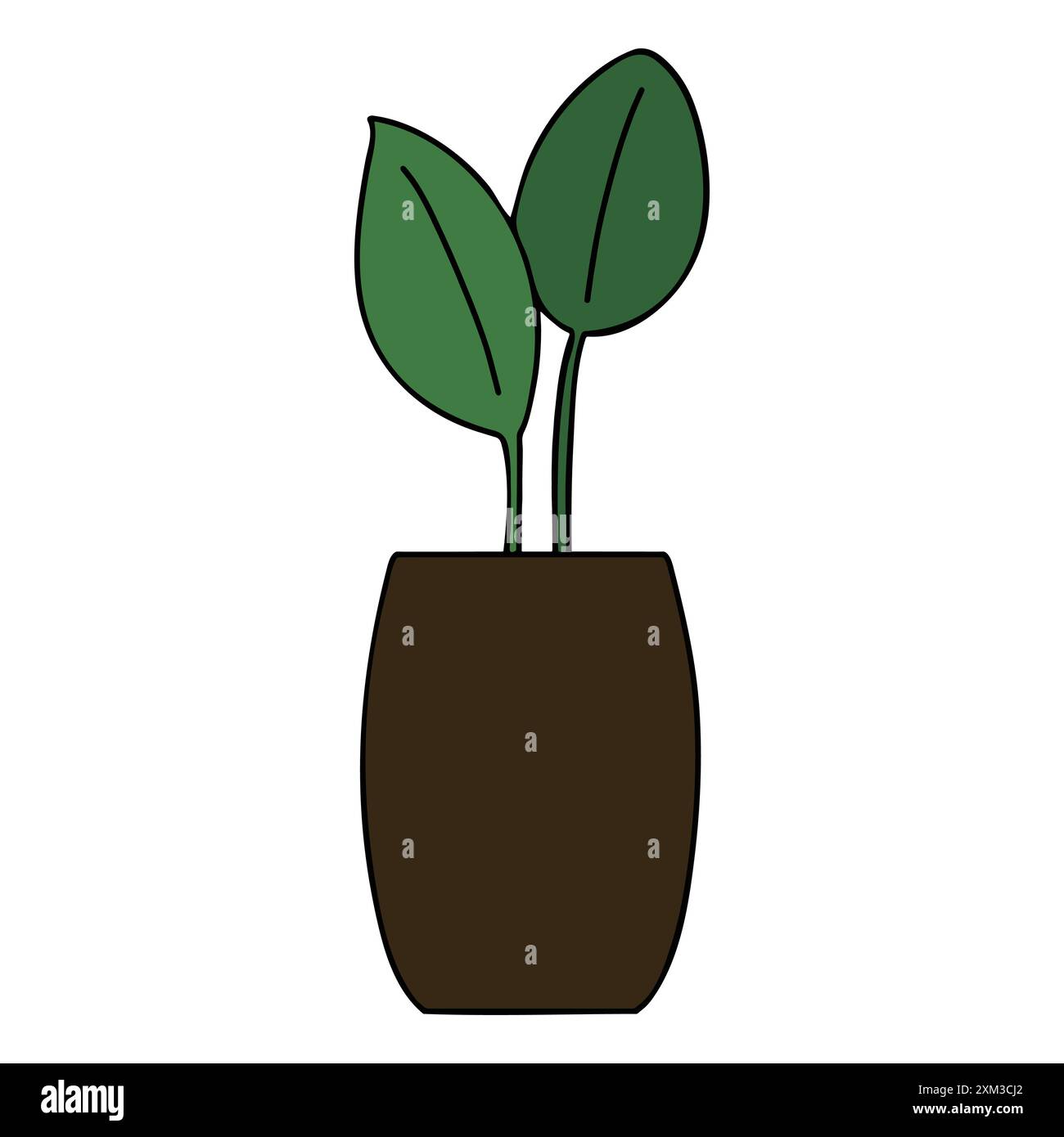 Cute potted plant with two leafy leaf plants in a long pot in a reddish ...