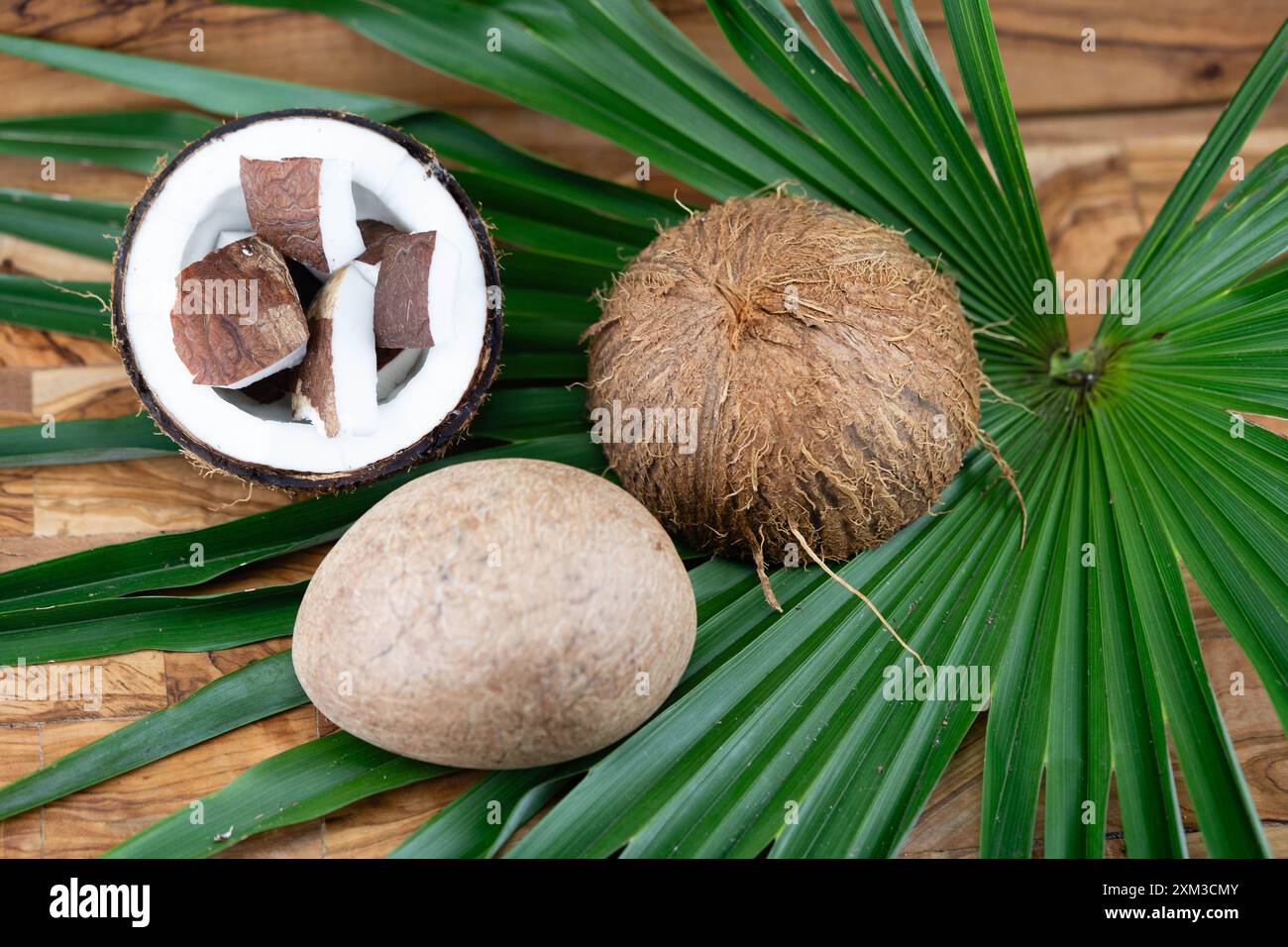 Copra dried pulp and ropes made from fibers of the coconut Cocos ...