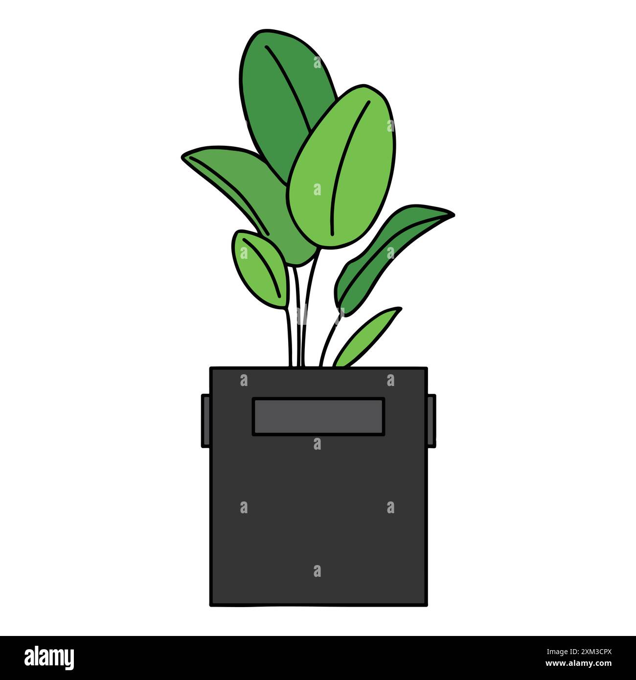Beautiful flower pot with round and long leaves in a gray angular ...