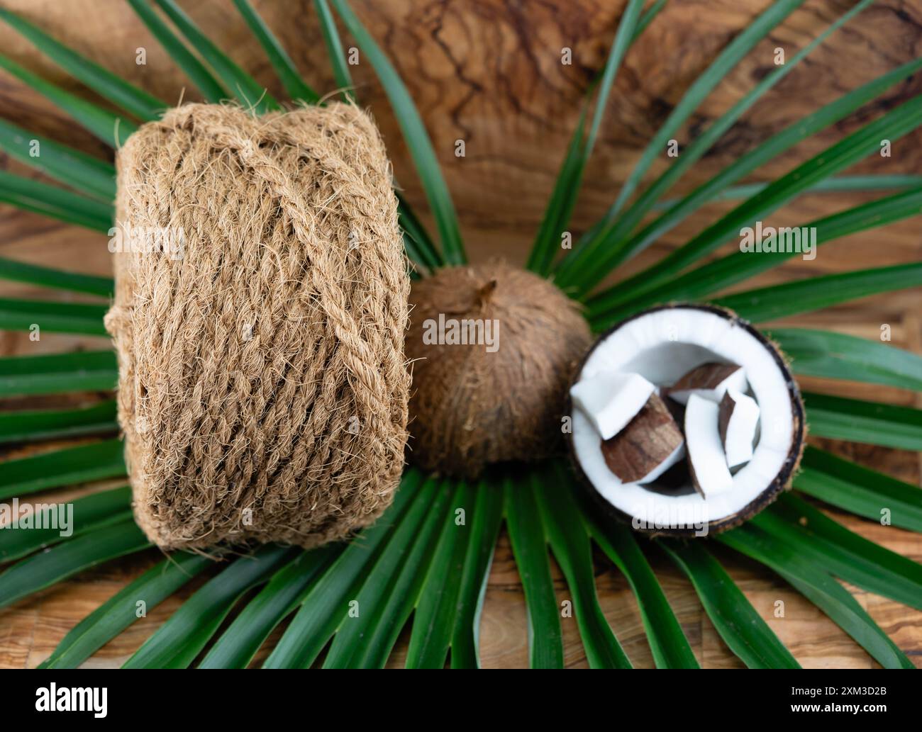 Copra dried pulp and ropes made from fibers of the coconut Cocos ...