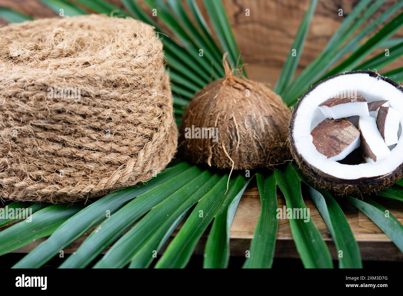 Copra dried pulp and ropes made from fibers of the coconut Cocos ...