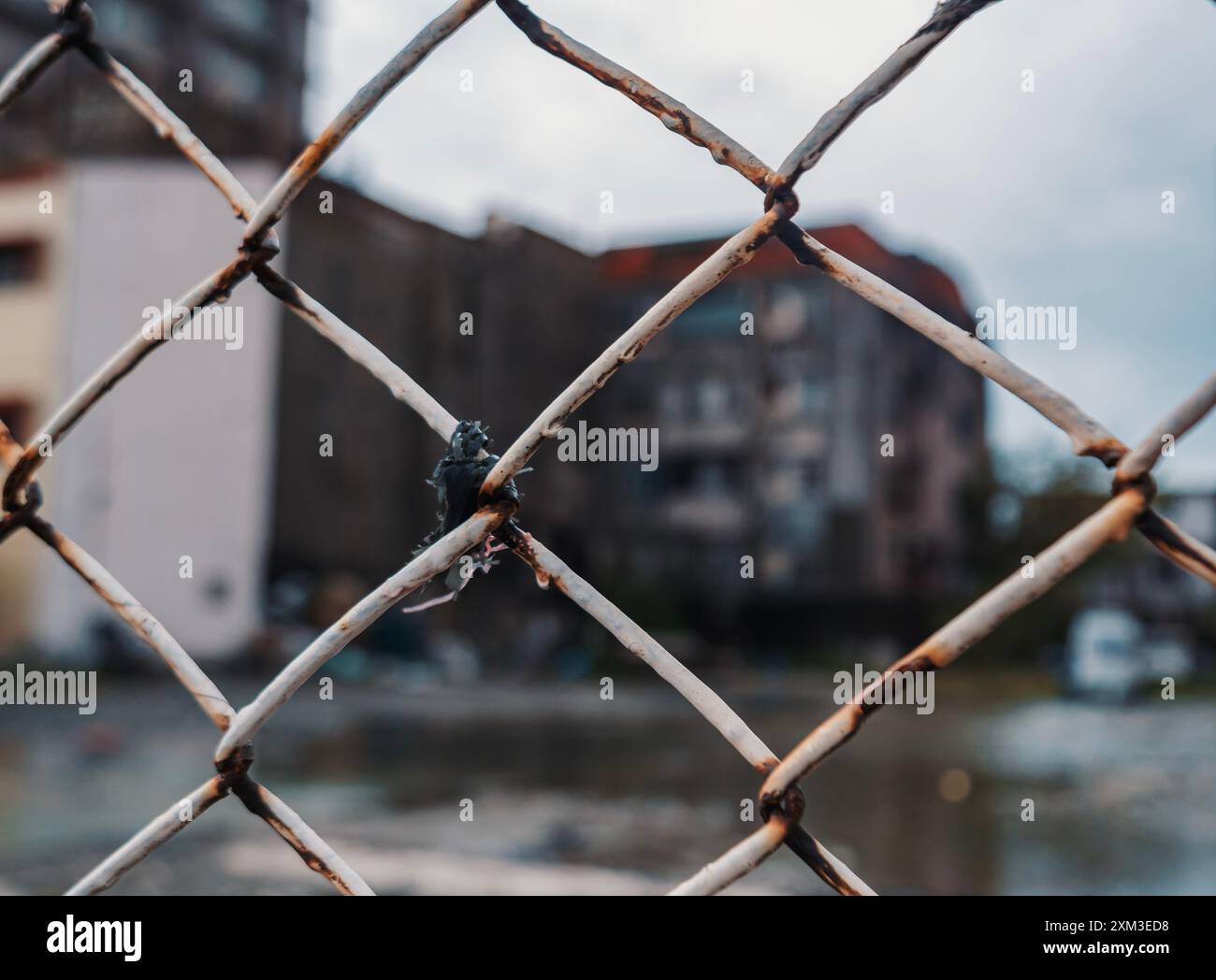 Chain link fence view of abandoned building in daylight Stock Photo - Alamy