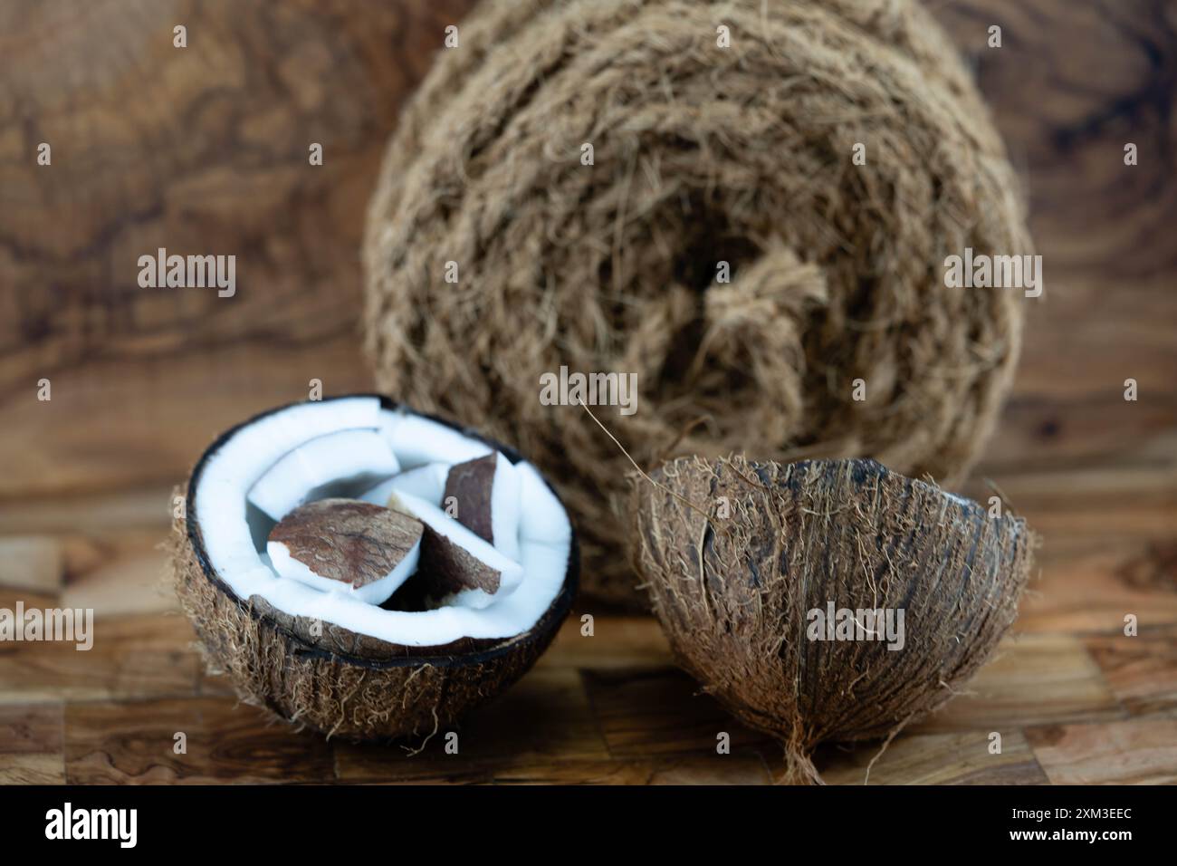 Copra dried pulp and ropes made from fibers of the coconut Cocos ...