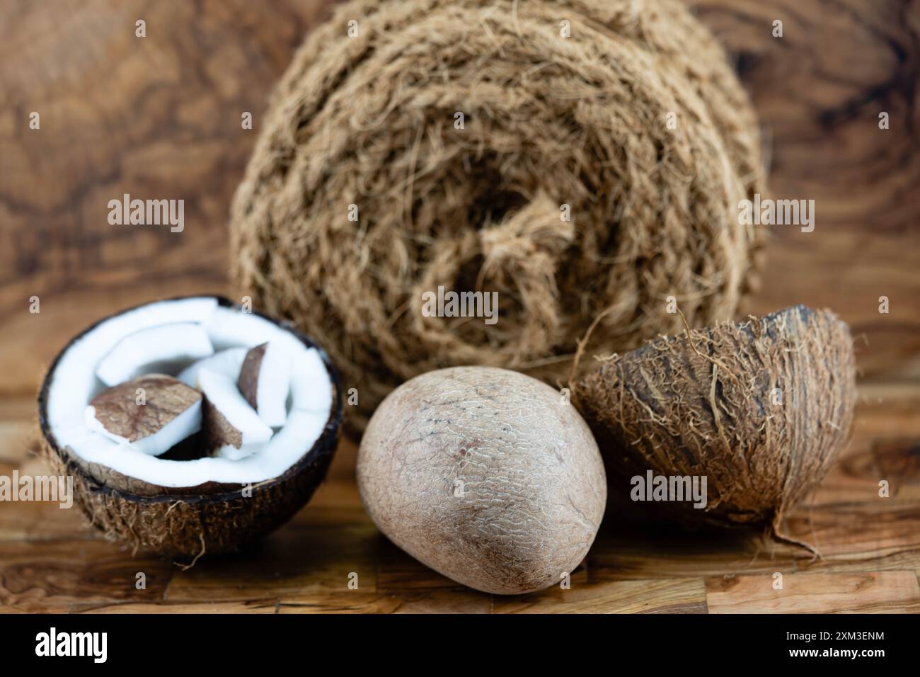 Copra dried pulp and ropes made from fibers of the coconut Cocos ...