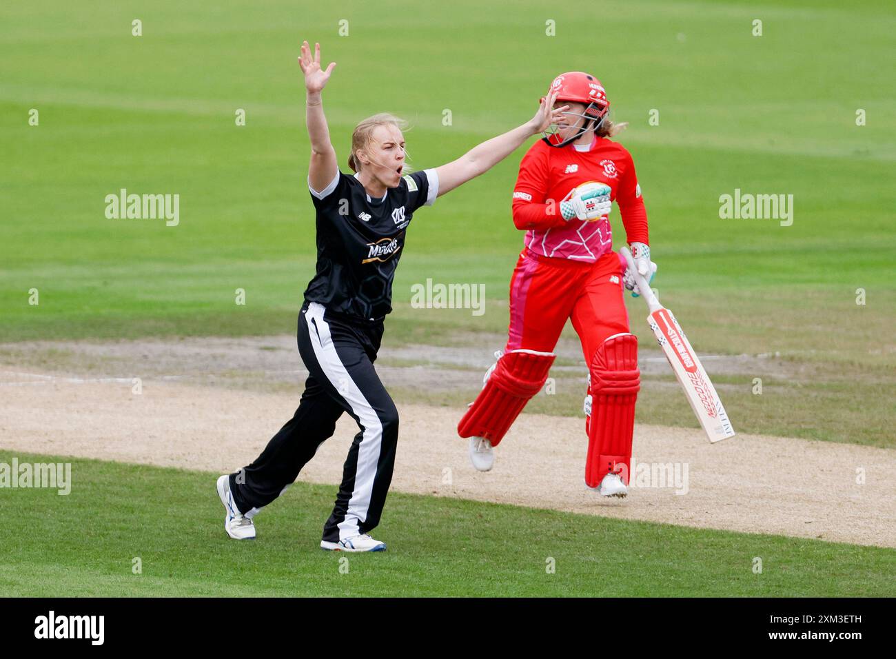 Cricket kim garth hi-res stock photography and images - Alamy