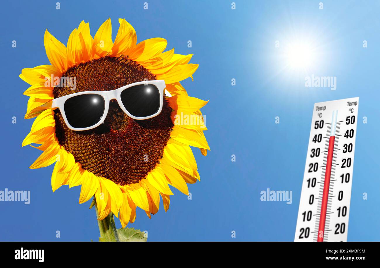 40 grad hi-res stock photography and images - Alamy