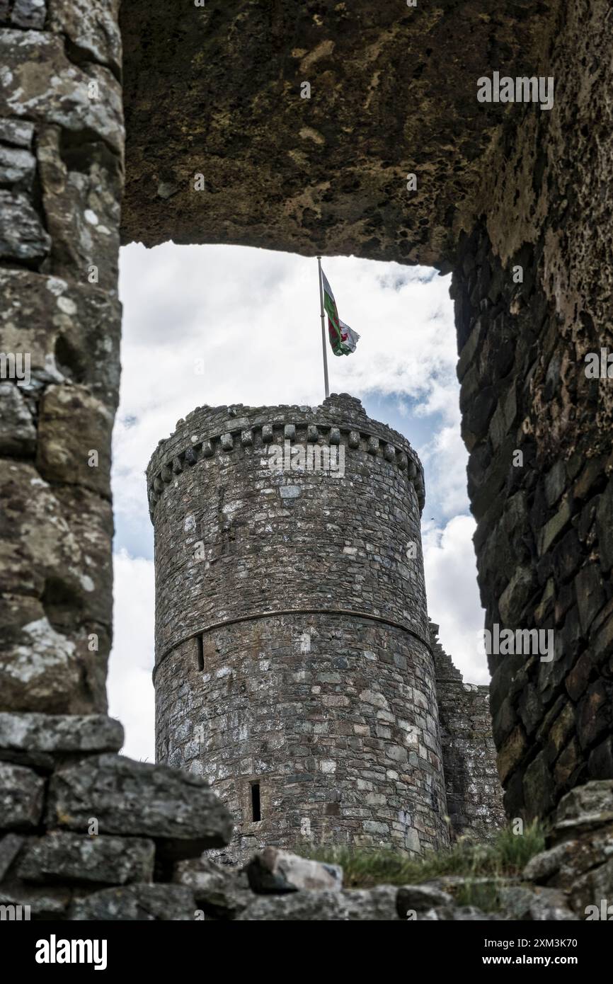 Harlech castle welsh dragon hi-res stock photography and images - Alamy