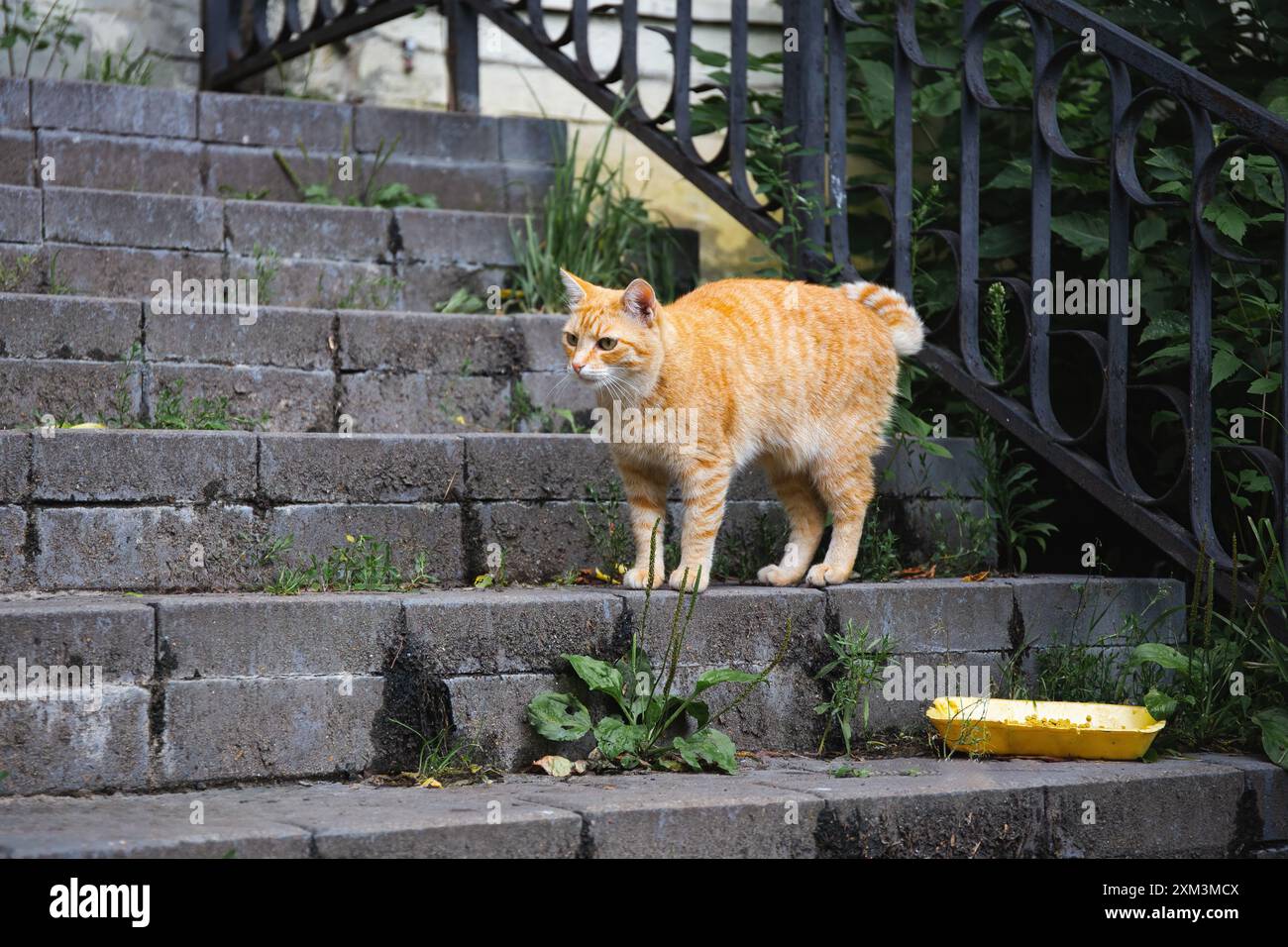 Outdoor efforts hi-res stock photography and images - Alamy
