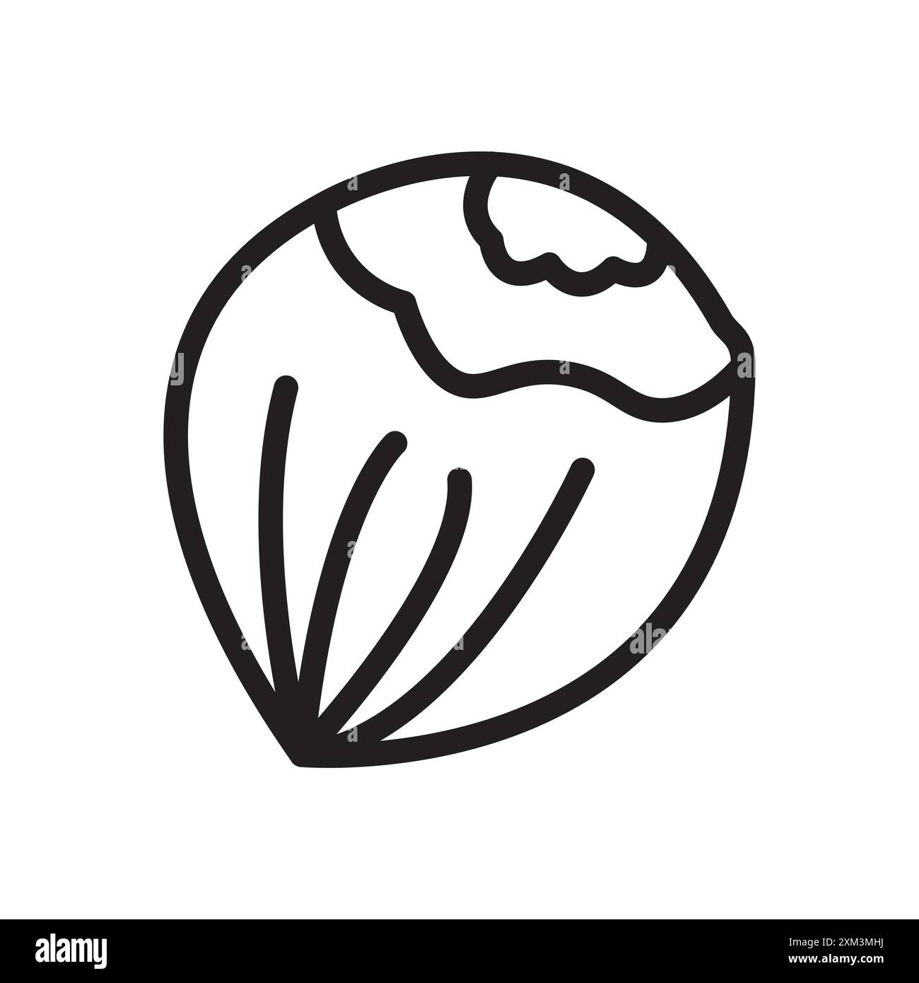 Hazelnut icon Black line art vector in black and white outline set ...