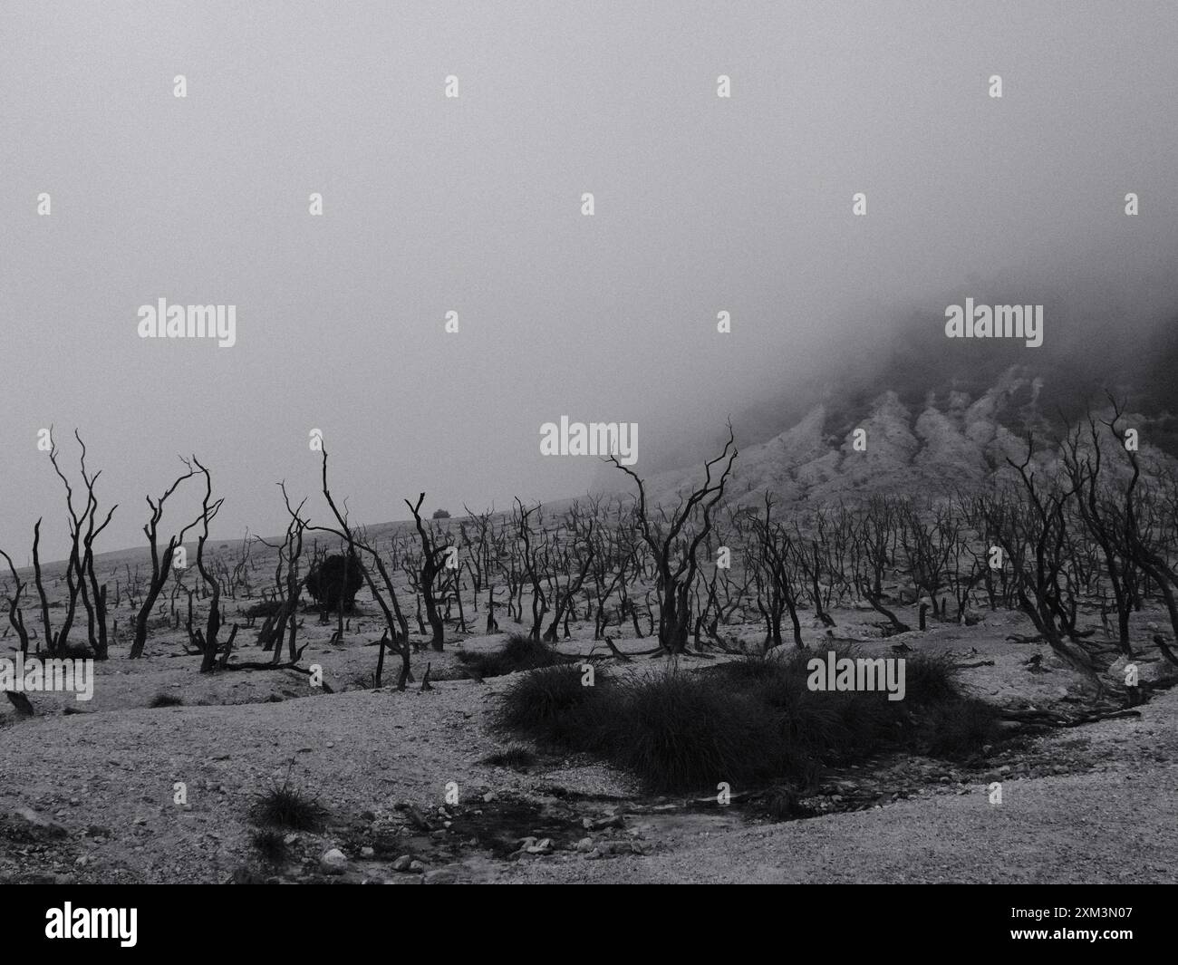 Bleak landscape in summer hi-res stock photography and images - Alamy