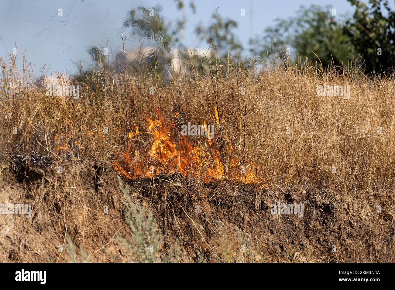 Forest and steppe fires dry completely destroy the fields and steppes ...