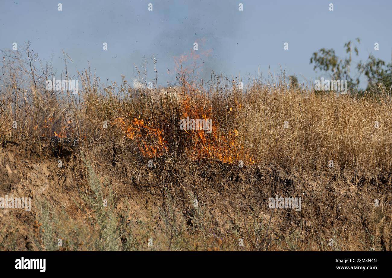 Forest and steppe fires dry completely destroy the fields and steppes ...