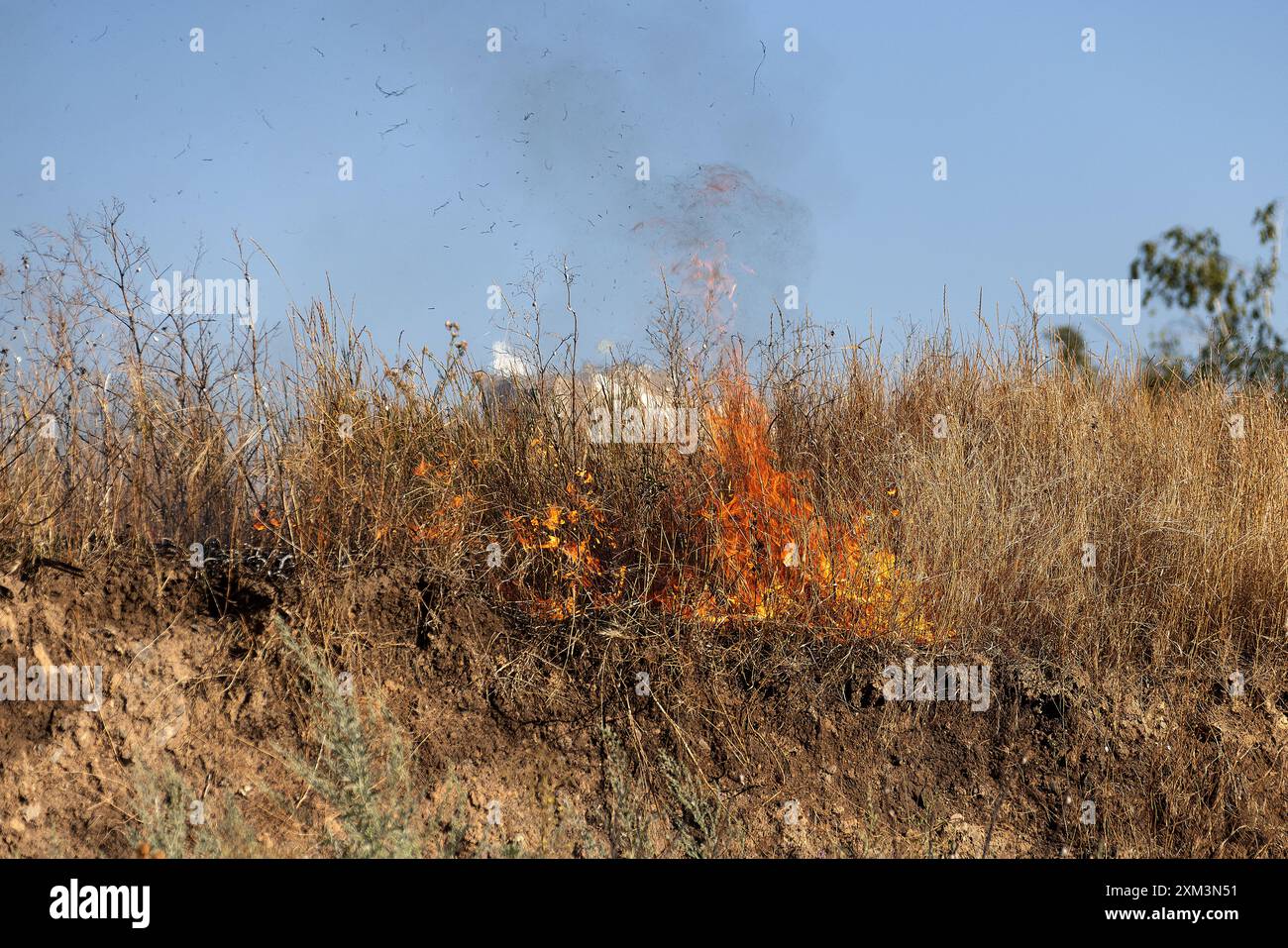 Forest and steppe fires dry completely destroy the fields and steppes ...