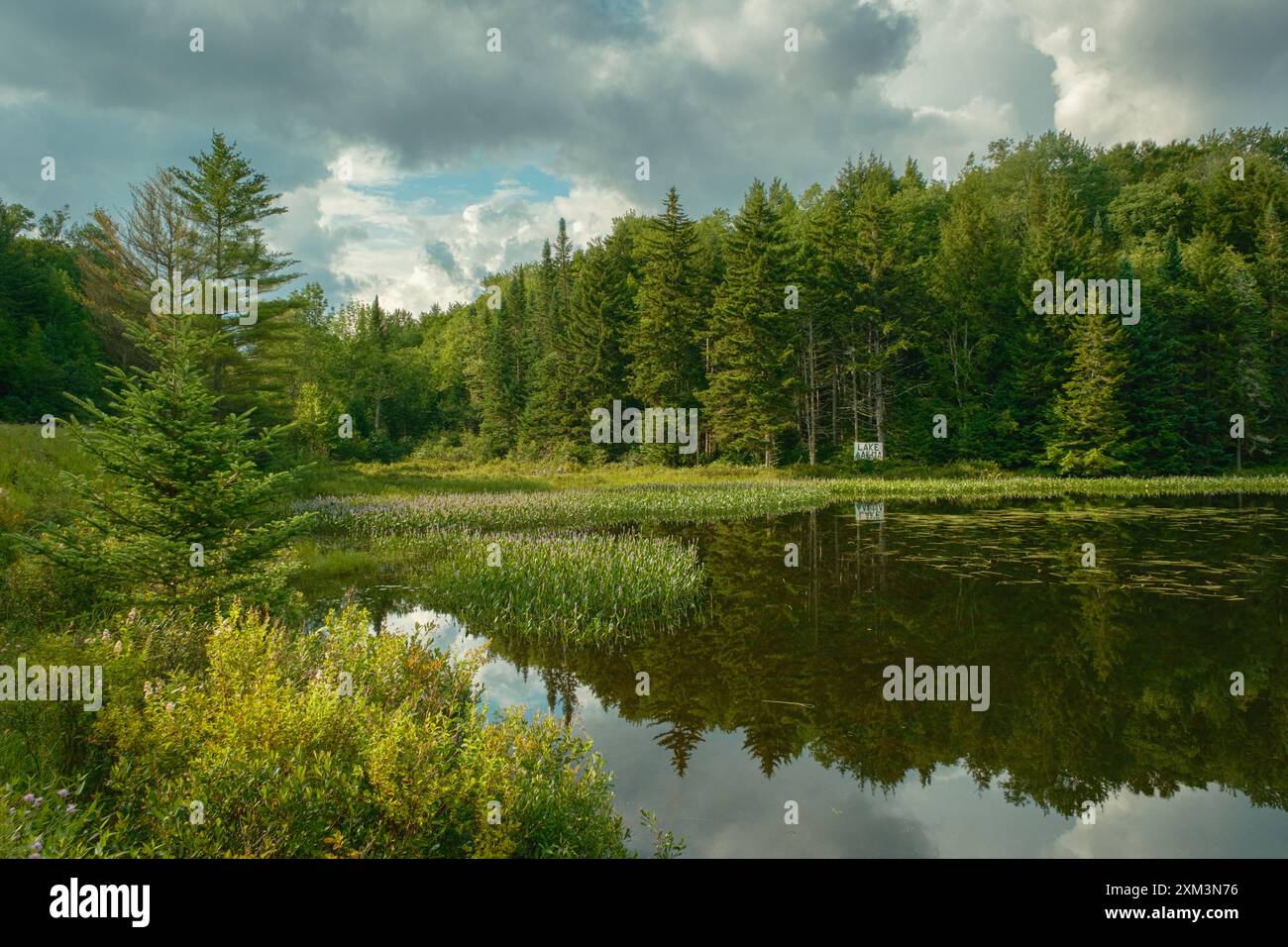 Lake Alma in the Adirondack Mountains, New York Stock Photo - Alamy
