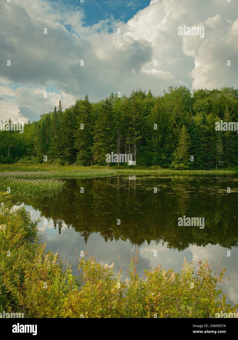 Lake Alma in the Adirondack Mountains, New York Stock Photo - Alamy