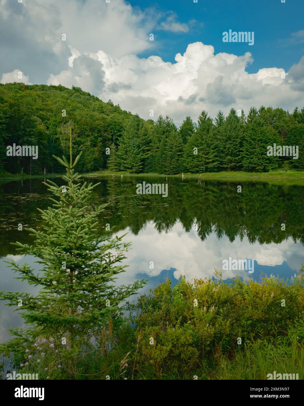 Lake Alma in the Adirondack Mountains, New York Stock Photo - Alamy