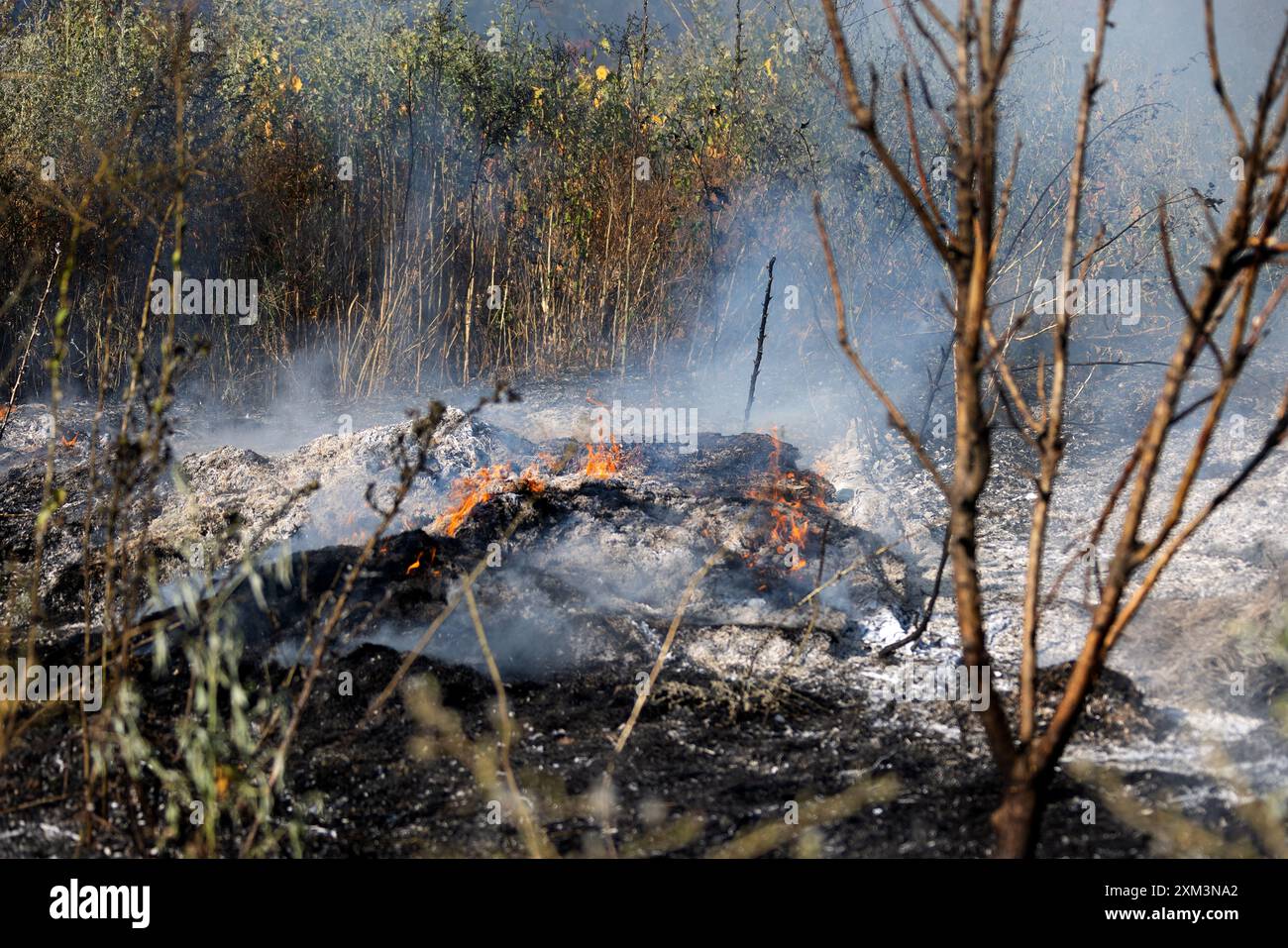 Forest and steppe fires dry completely destroy the fields and steppes ...