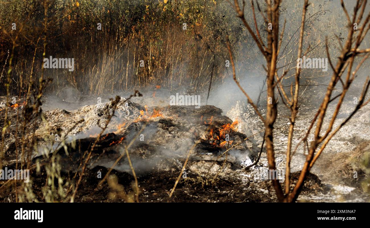 Forest and steppe fires dry completely destroy the fields and steppes ...