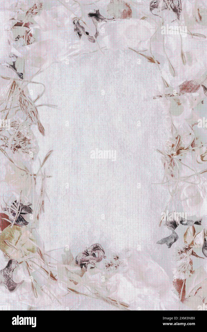 Muted backdrop hi-res stock photography and images - Alamy