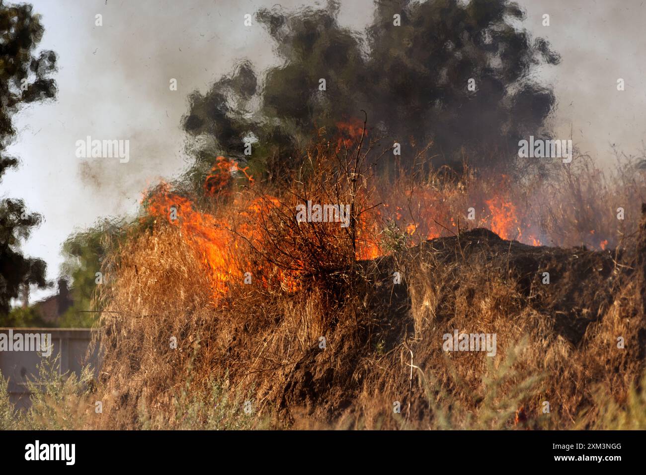 Forest and steppe fires dry completely destroy the fields and steppes ...