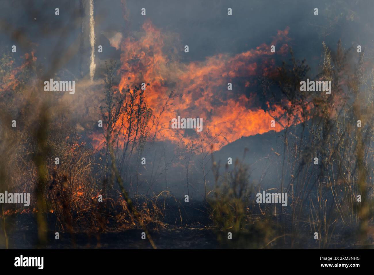 Forest and steppe fires dry completely destroy the fields and steppes ...