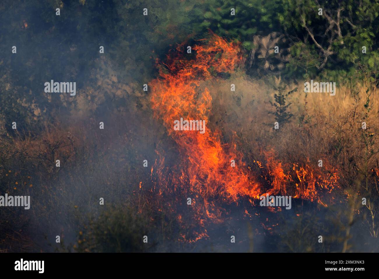 Forest and steppe fires dry completely destroy the fields and steppes ...