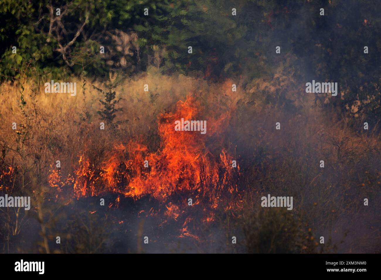 Forest and steppe fires dry completely destroy the fields and steppes ...