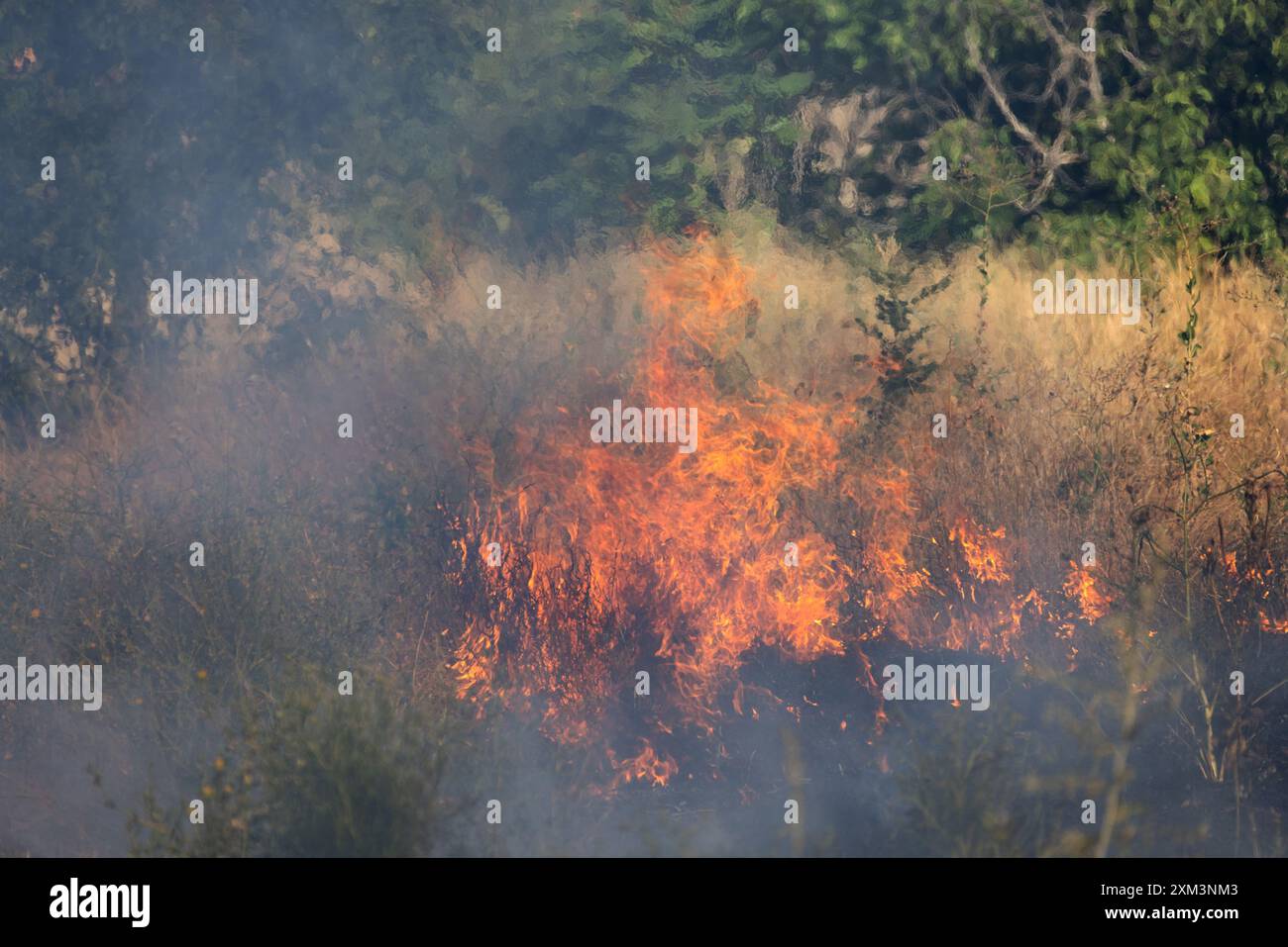 Forest and steppe fires dry completely destroy the fields and steppes ...