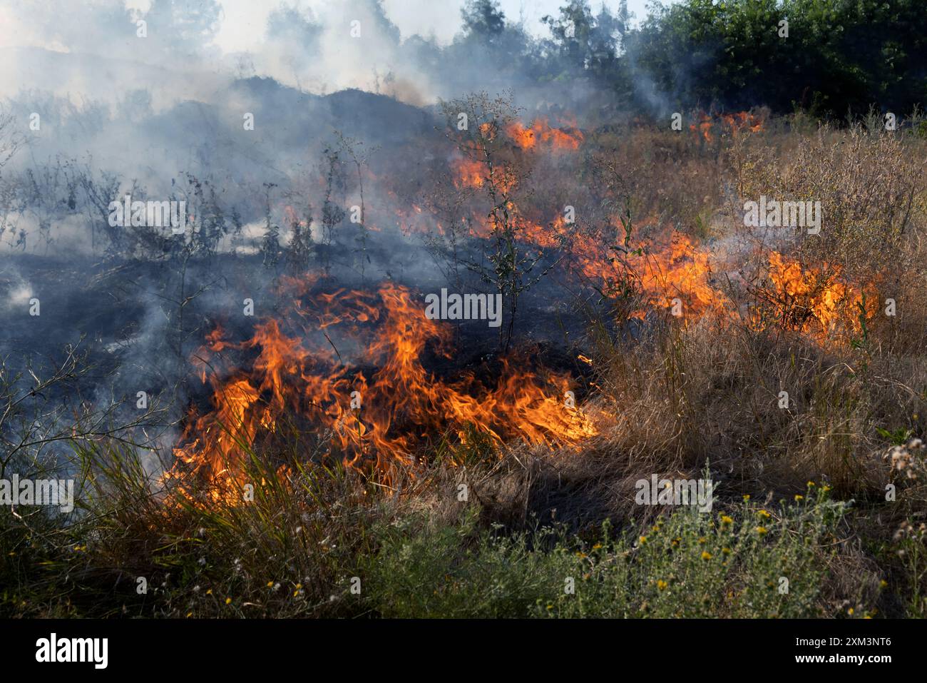 Forest and steppe fires dry completely destroy the fields and steppes ...