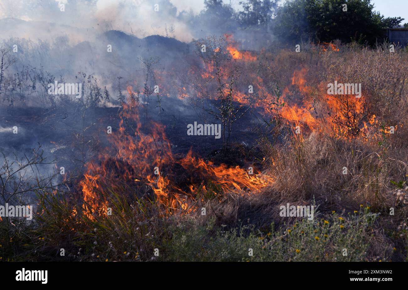 Forest and steppe fires dry completely destroy the fields and steppes ...