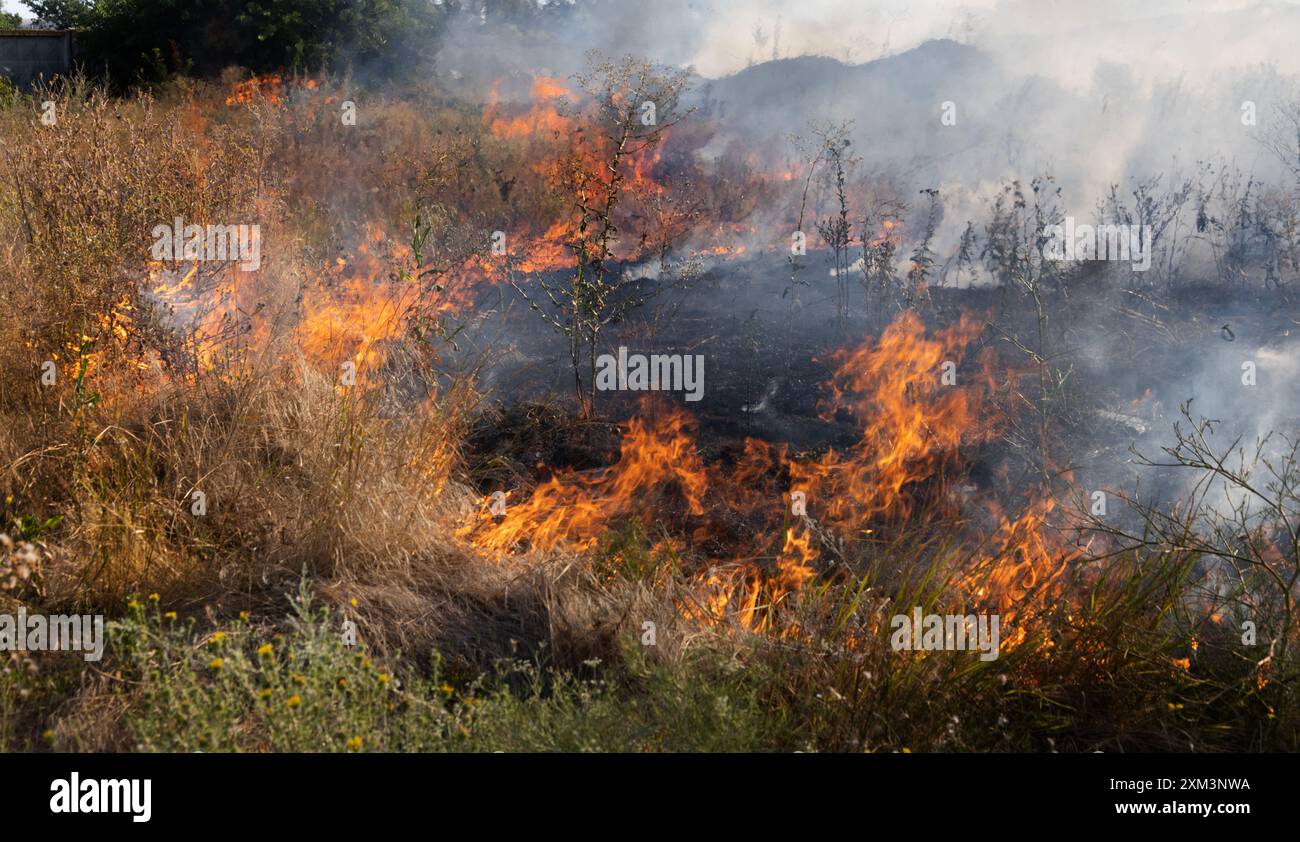 Forest and steppe fires dry completely destroy the fields and steppes ...