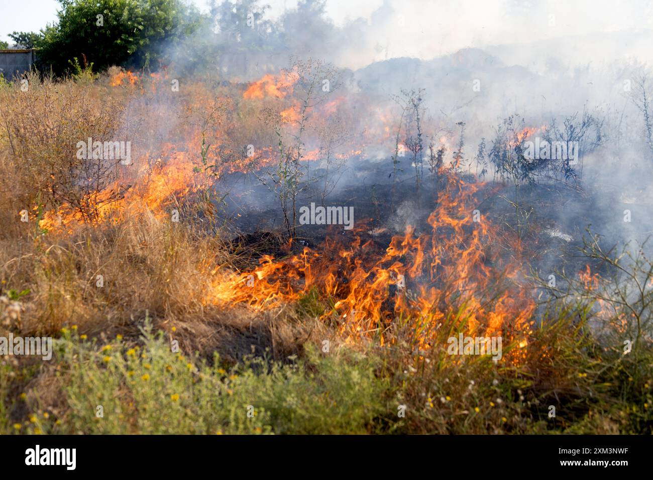 Forest and steppe fires dry completely destroy the fields and steppes ...
