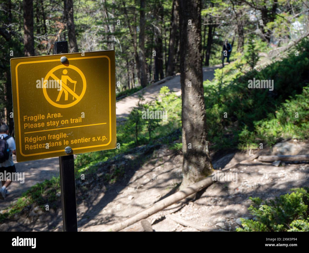 Fragile Area signage Tunnel Mountain, Banff, Alberta, Canada Stock ...