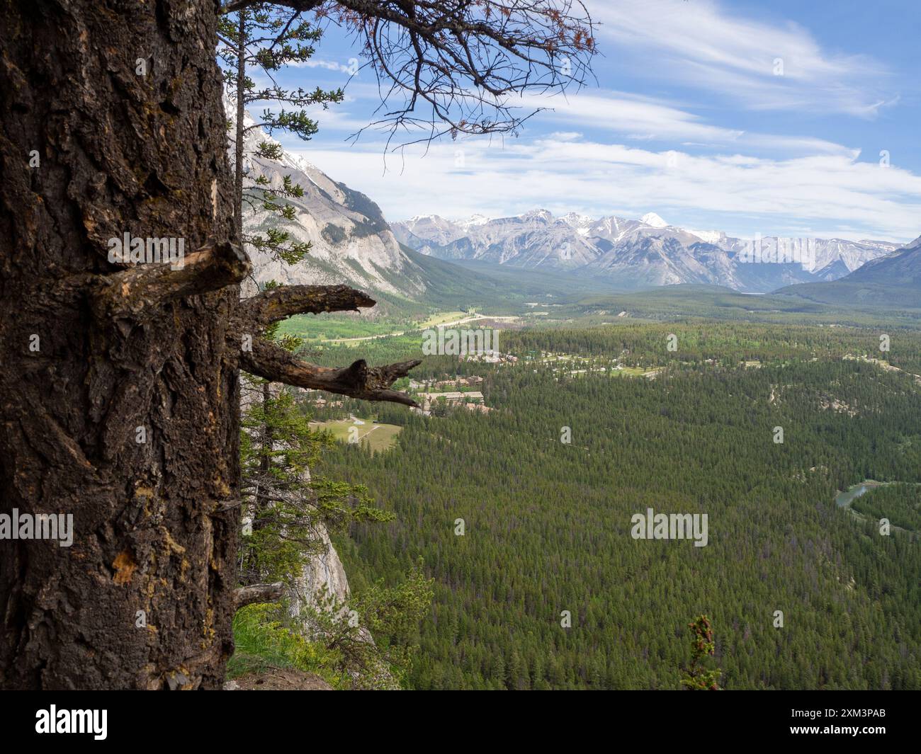 Bow River Valley from Tunnel Mountain, Banff, Alberta, Canada Stock ...