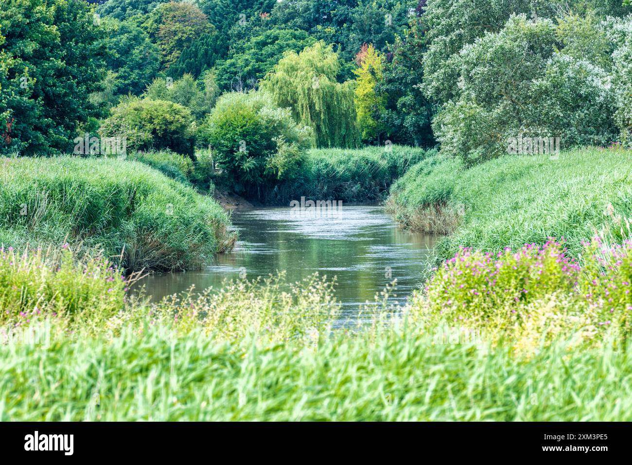 The River Stour at Sandwich in Kent, England Stock Photo - Alamy