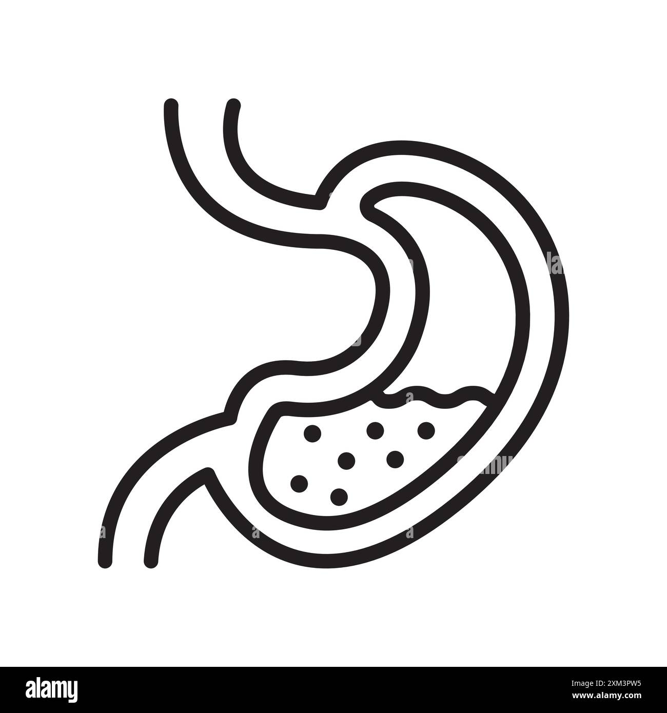 Stomach icon Black line art vector in black and white outline set ...